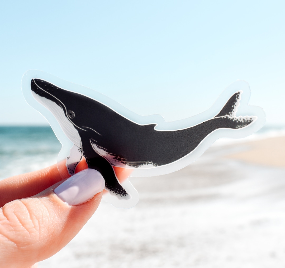 Humpback Whale Clear Vinyl Sticker || Ocean Sticker Surf Sticker Summer ...