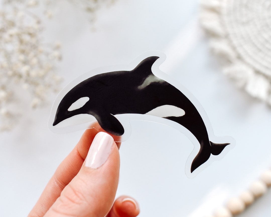 Orca Whale Clear Vinyl Sticker Ocean Sticker Surf Sticker - Etsy