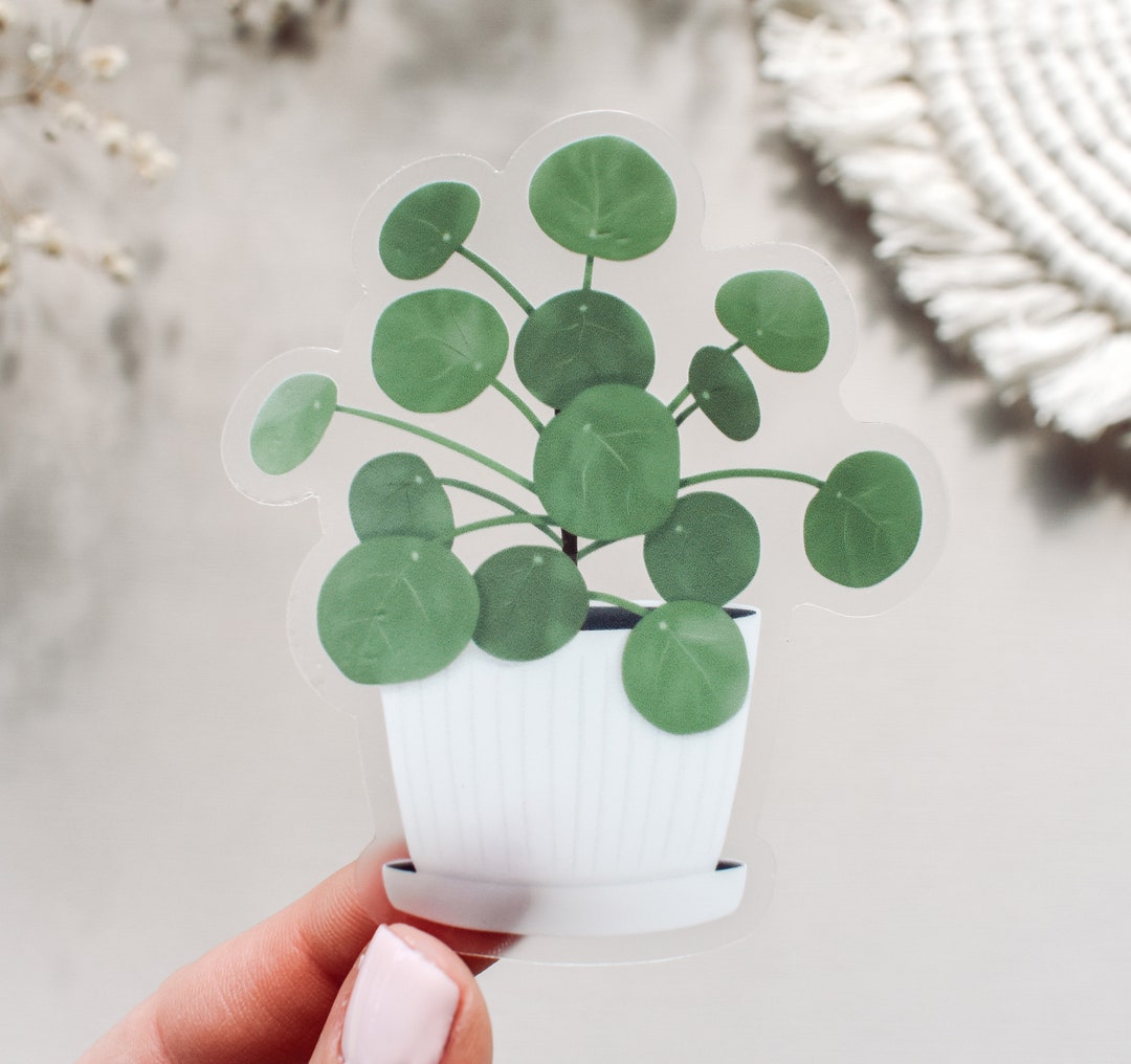 Pilea Peperomioides Clear Vinyl Sticker || Outdoor Nature Stickers ...