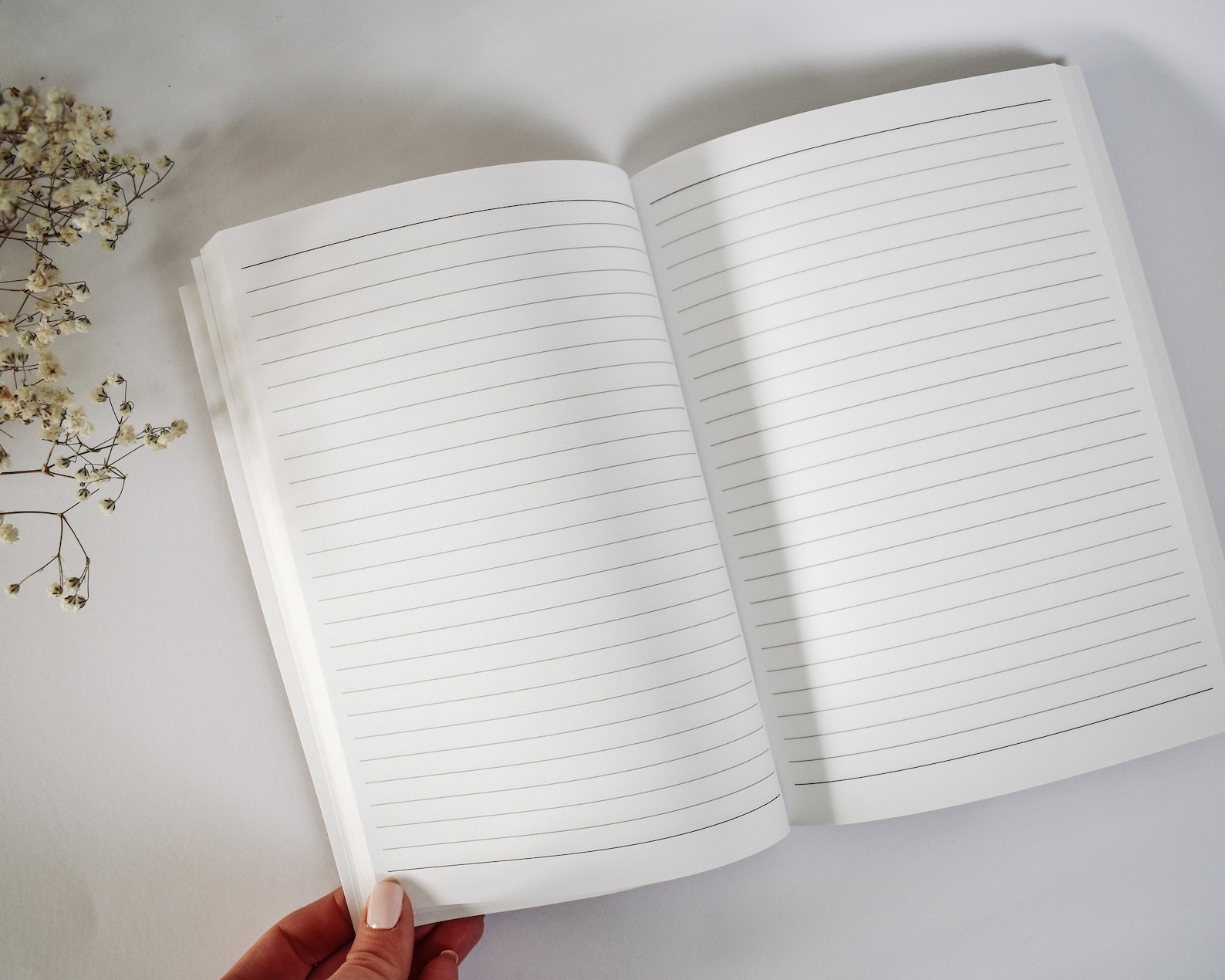 Sea Turtle Go at Your Own Pace Journal || Soft Cover Notebook Journal ...