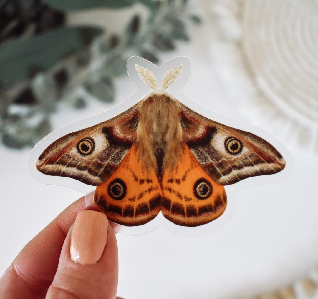 Emperor Moth Clear Vinyl Sticker || Outdoor Nature Stickers Spring ...