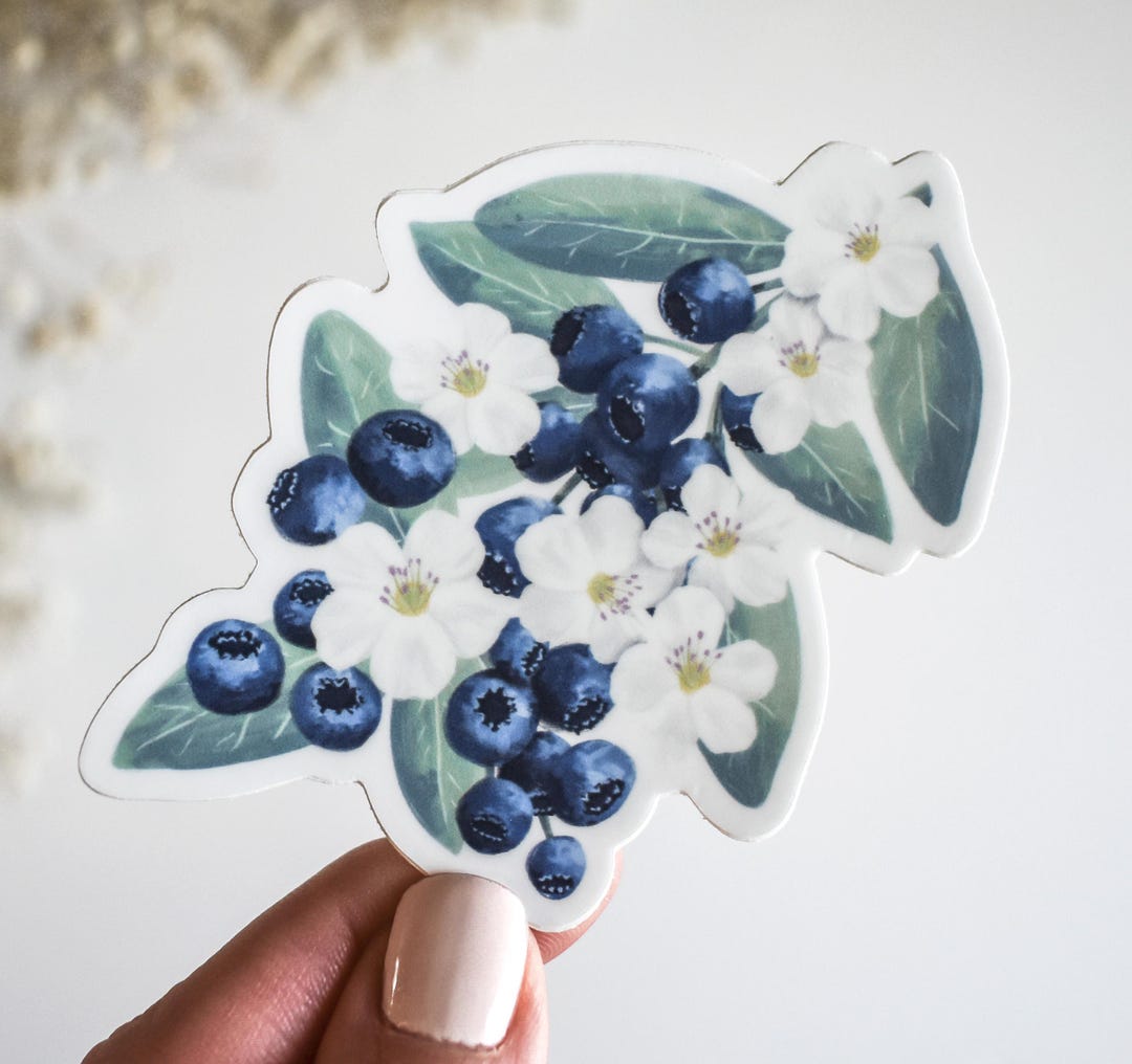 Blueberry Bunches Vinyl Sticker || Outdoor Nature Stickers Spring Decor ...