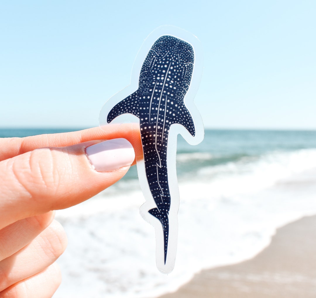 Whale Shark Clear Vinyl Sticker || Ocean Sticker Surf Sticker Summer ...