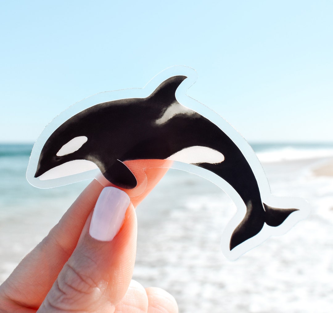 Orca Whale Clear Vinyl Sticker || Ocean Sticker Surf Sticker Summer ...