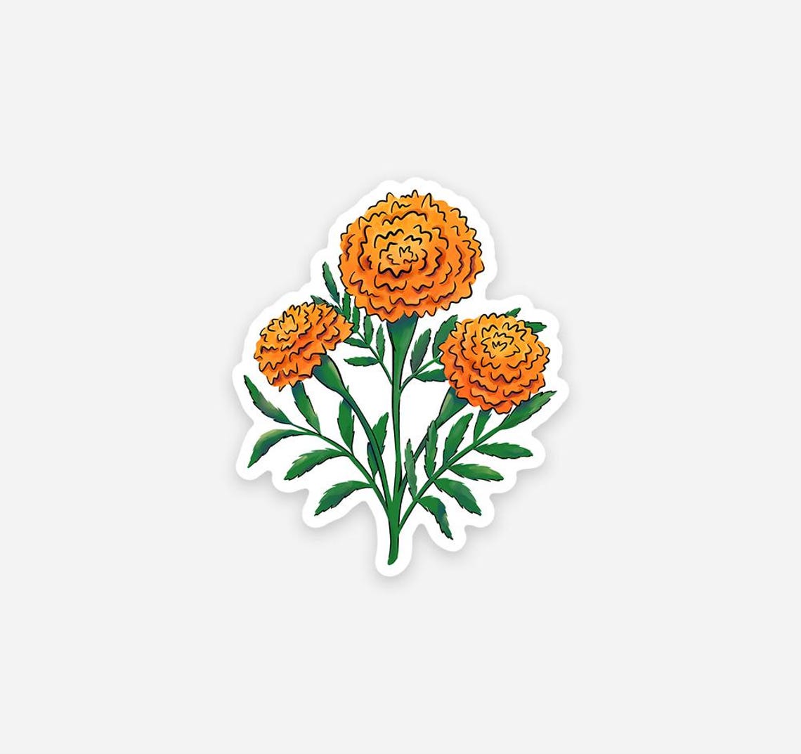Marigold Vinyl Sticker || October Birth Month Flower Outdoor Nature ...