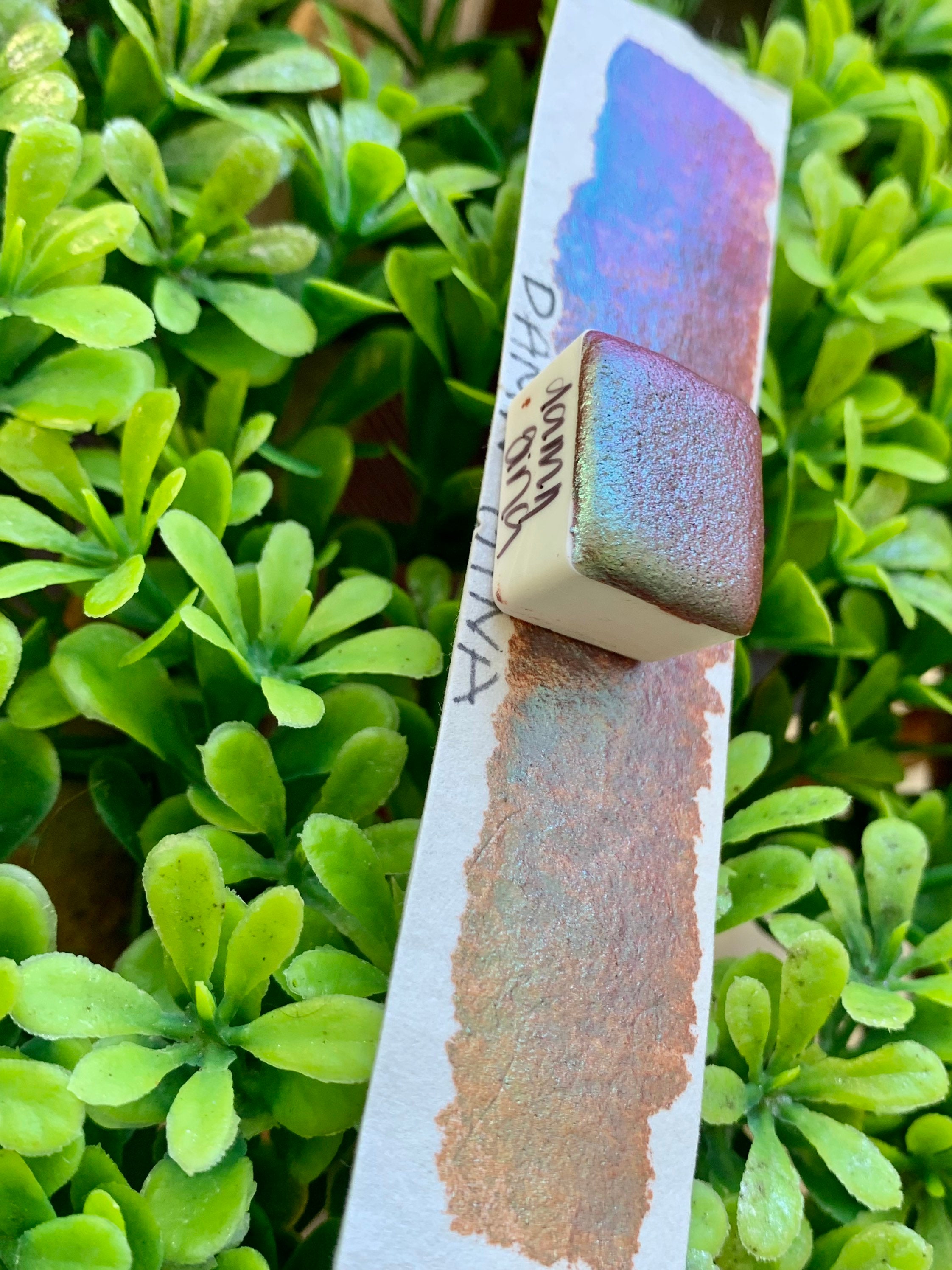 Damn Gina Handmade Watercolors Handmade Paint - Etsy