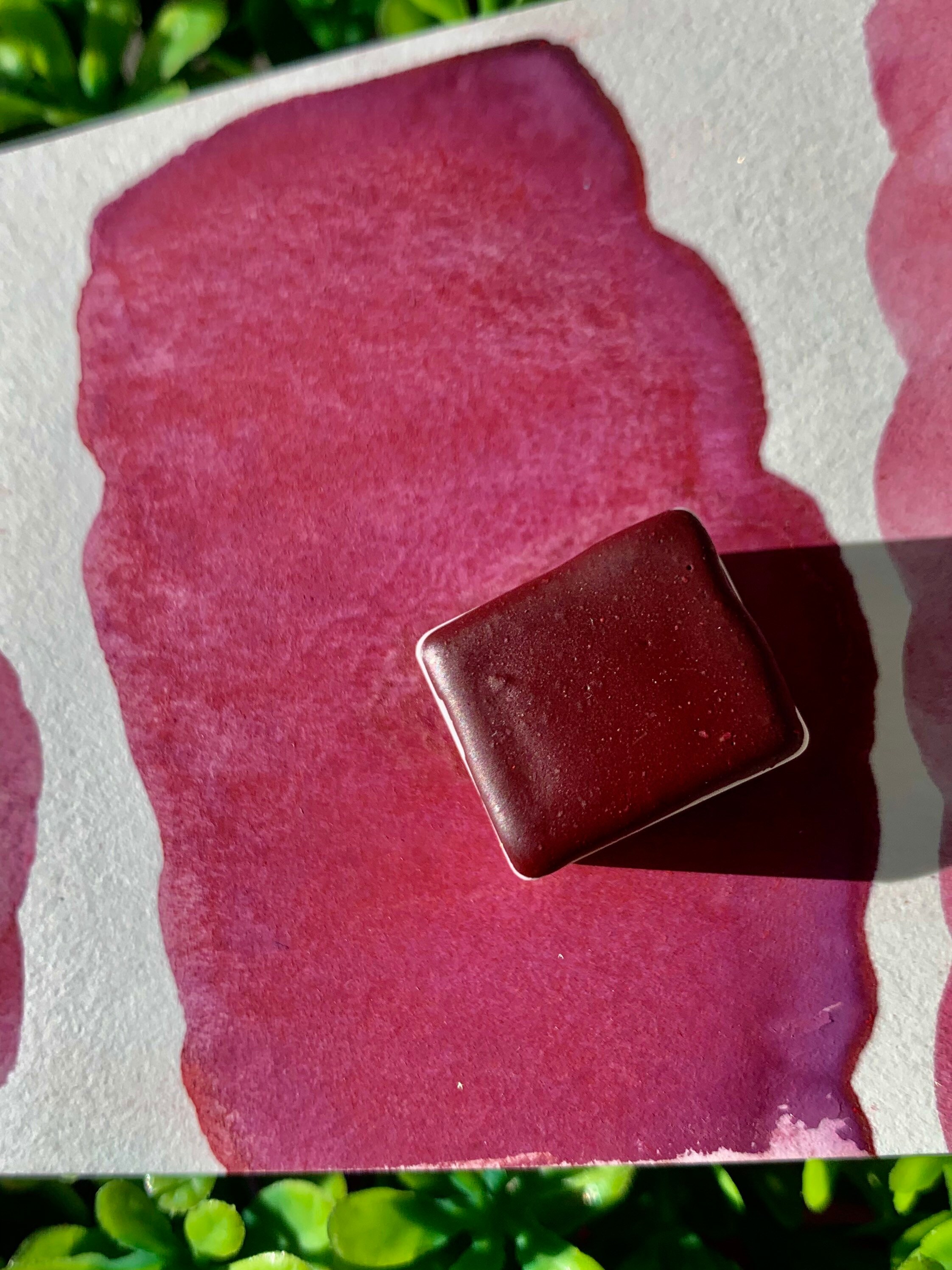 Rose Apothecary Schitts Creek Purple and Red Granulation - Etsy