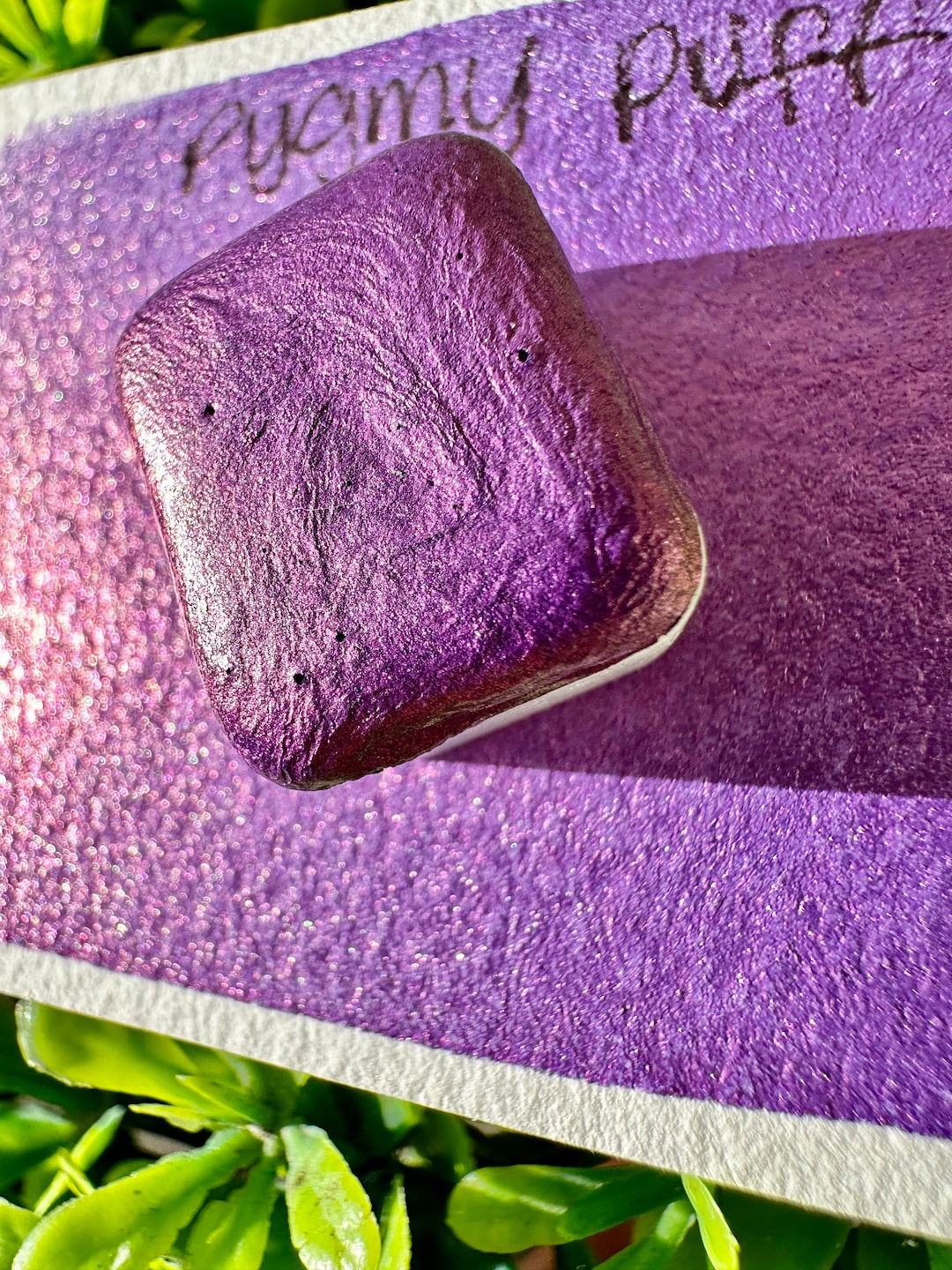 Pygmy Puff | Handmade Watercolors | Handmade Paint | Watercolors ...