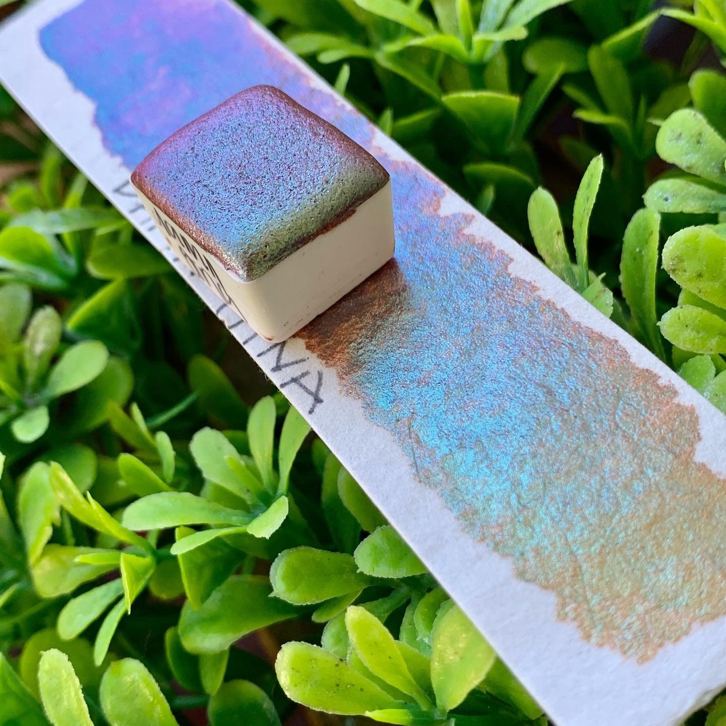 Damn Gina Handmade Watercolors Handmade Paint - Etsy