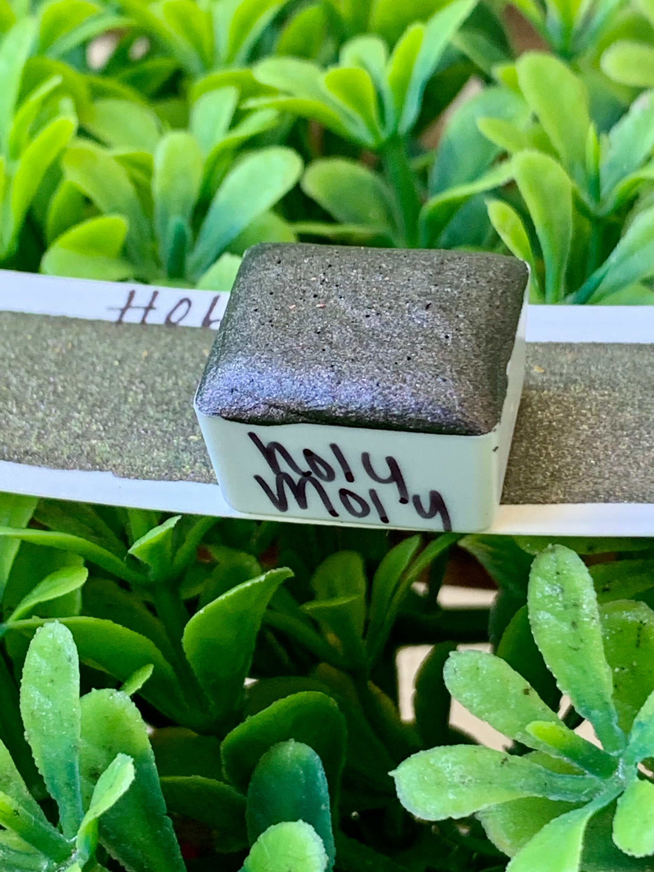 Holy Moly Handmade Watercolors Handmade Paint - Etsy