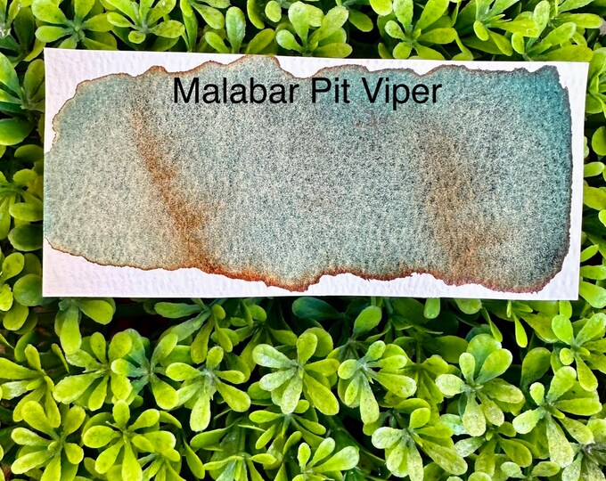 Malabar Pit Viper PREORDER | Handmade Watercolors | Handmade Paint ...