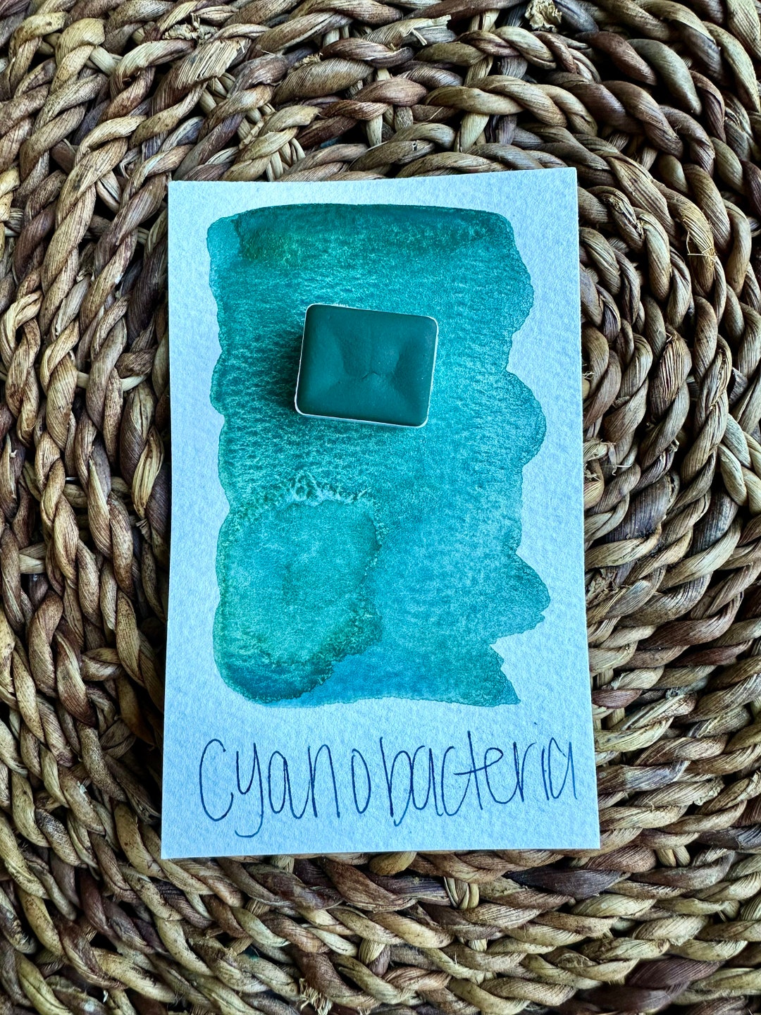 Cyanobacteria | Granulation | Handmade Watercolors | Paint ...