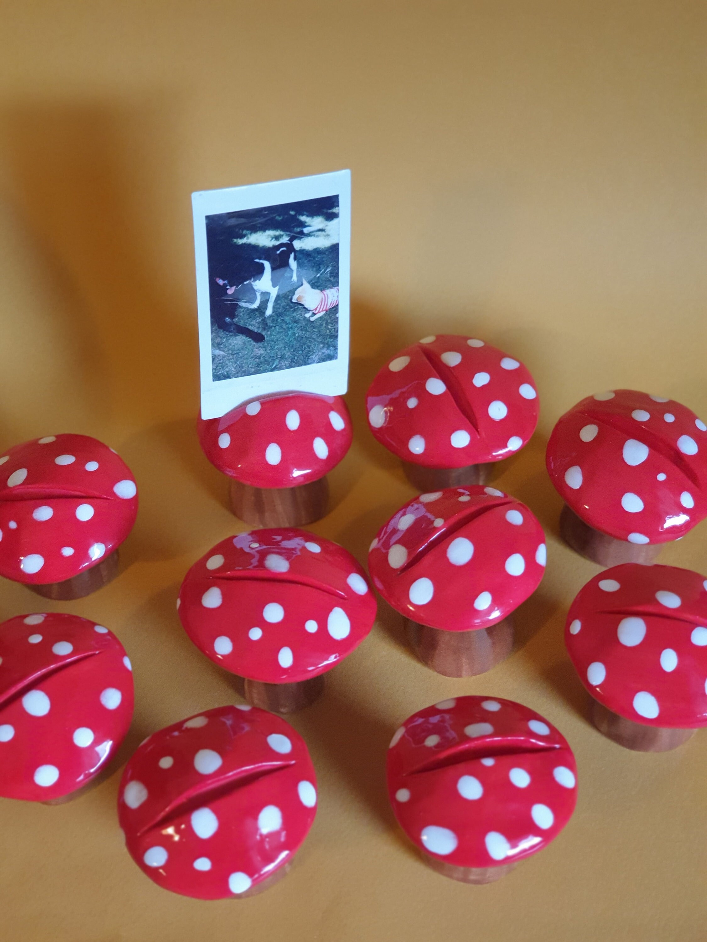 Ceramic Note Card Holder, Photocard Holder, Ceramic Mushroom , Photo ...