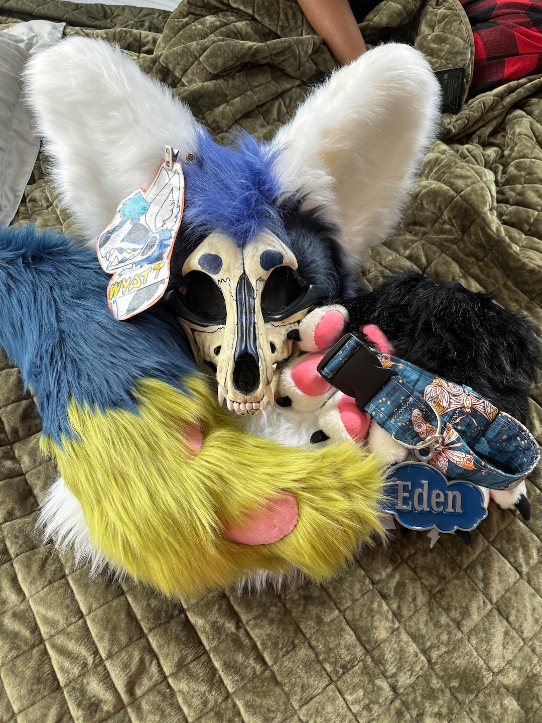 Skulldog Fursuit Mini Partial and Accessories - Etsy