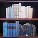 Choice Blue Antique Decorative Book Gold Shelf Library Vintage Office ...