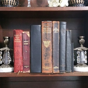 Choice Dictionary Antique Leather Decorative Books Shelf Library ...