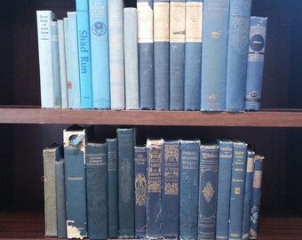 Choice Dictionary Antique Leather Decorative Books Shelf Library ...