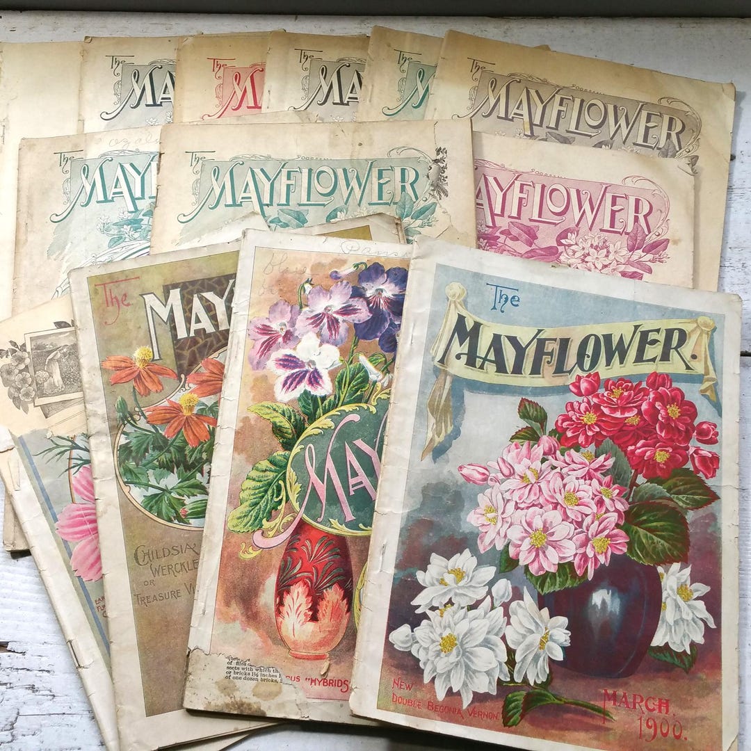 CHOICE Mayflower Magazine Antique 1900s Victorian American Garden ...