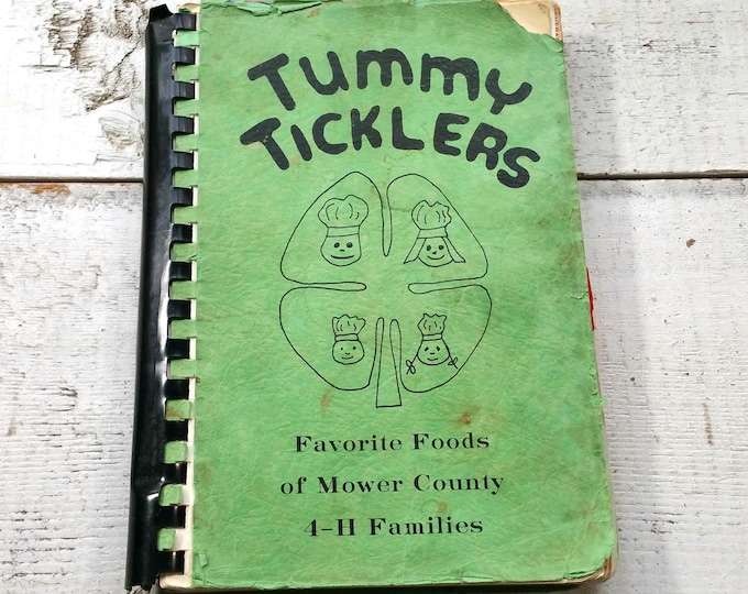 Tummy Ticklers Favorite Foods of Mower County 4H Families Cook Book ...