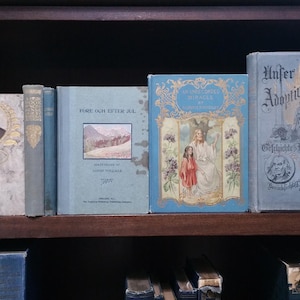 Choice Blue Antique Decorative Book Gold Shelf Library Vintage Office ...