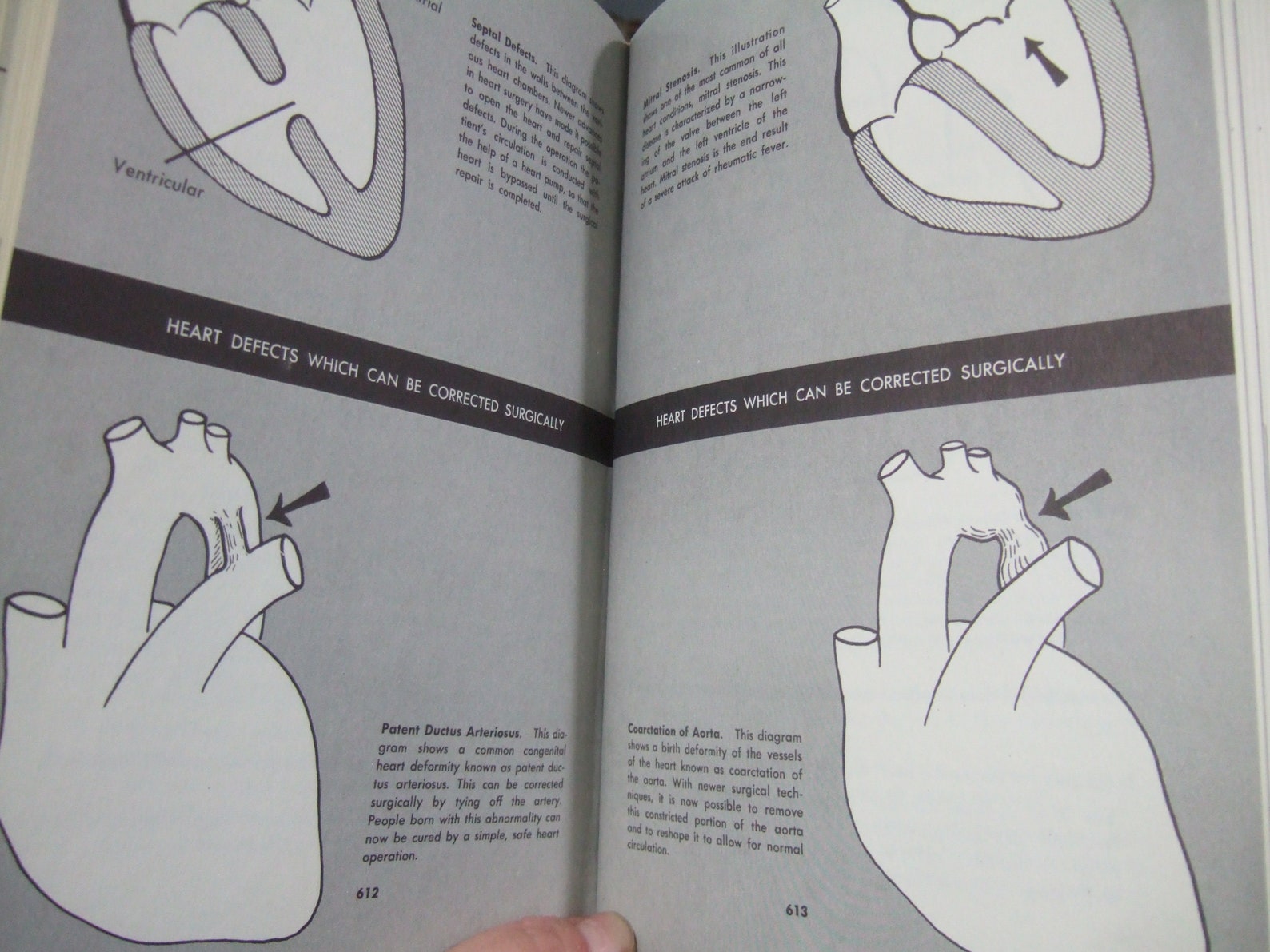 Medical Encyclopedia Set for Home Use Illustrated Complete - Etsy