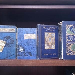 Choice Blue Antique Decorative Book Gold Shelf Library Vintage Office ...