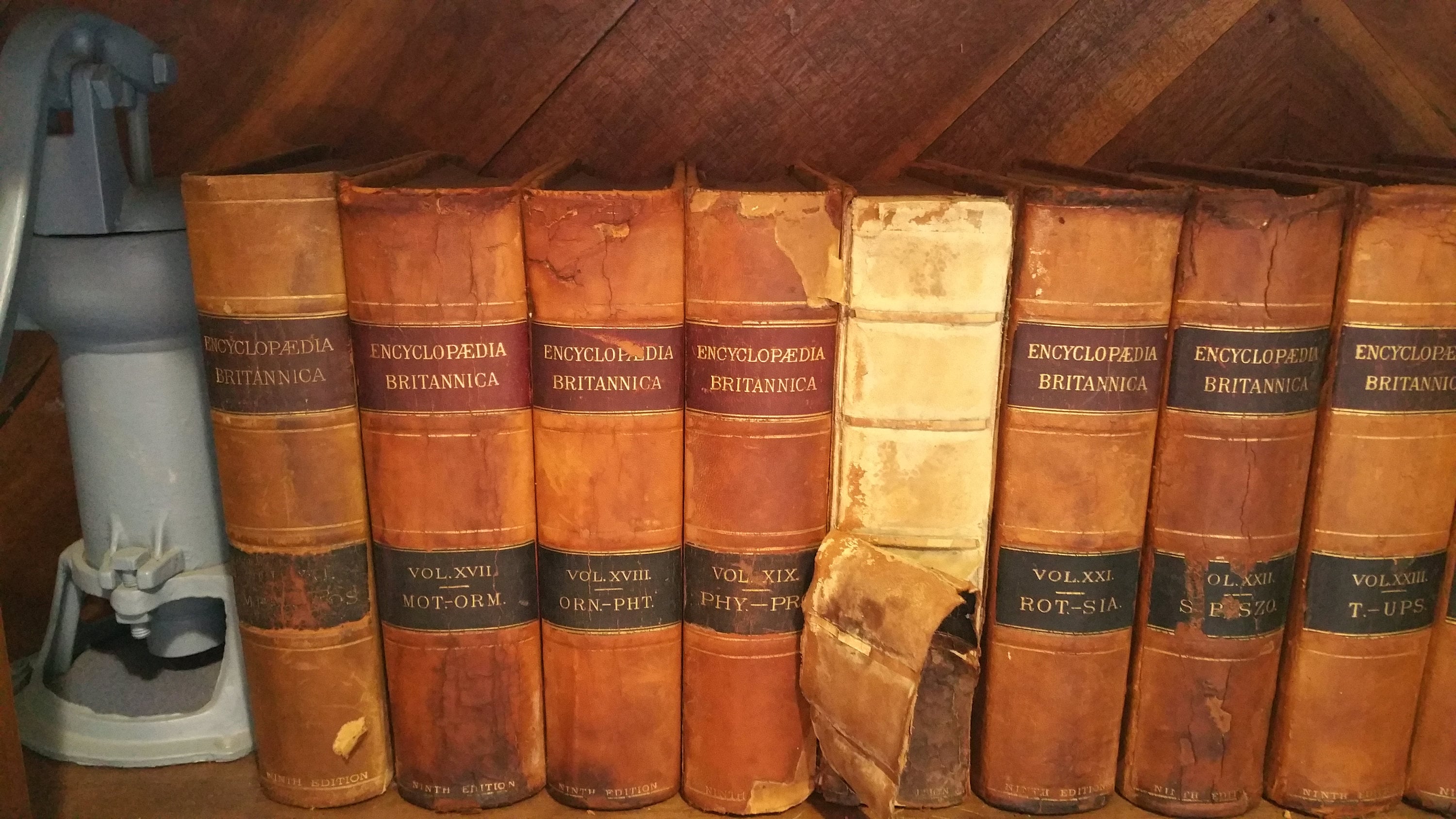 Complete 1878 Encyclopedia Britannica Leather Set 9th Edition Vintage ...
