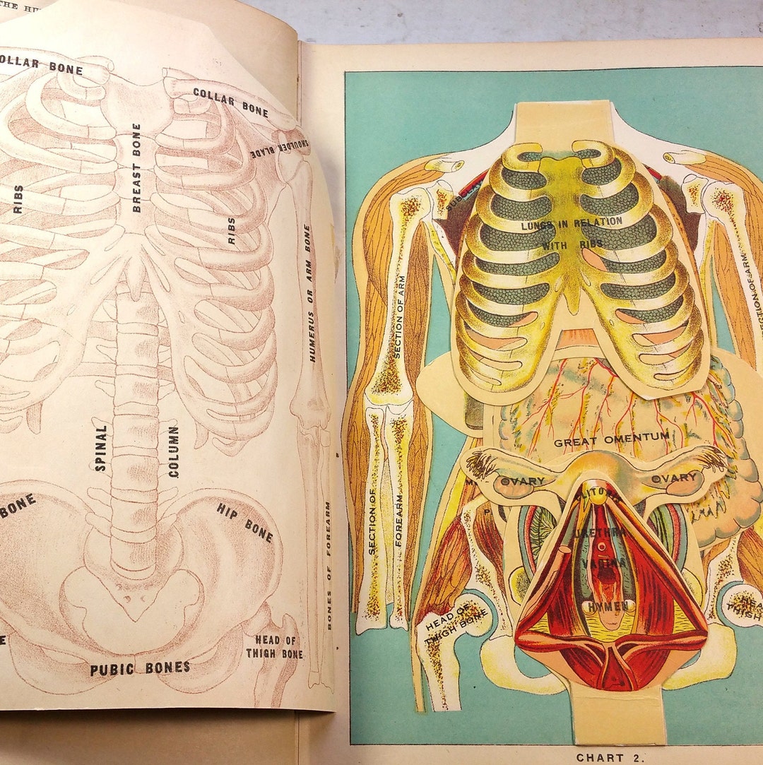1921 Library of Health Complete Guide Frank Scholl Antique Doctor ...