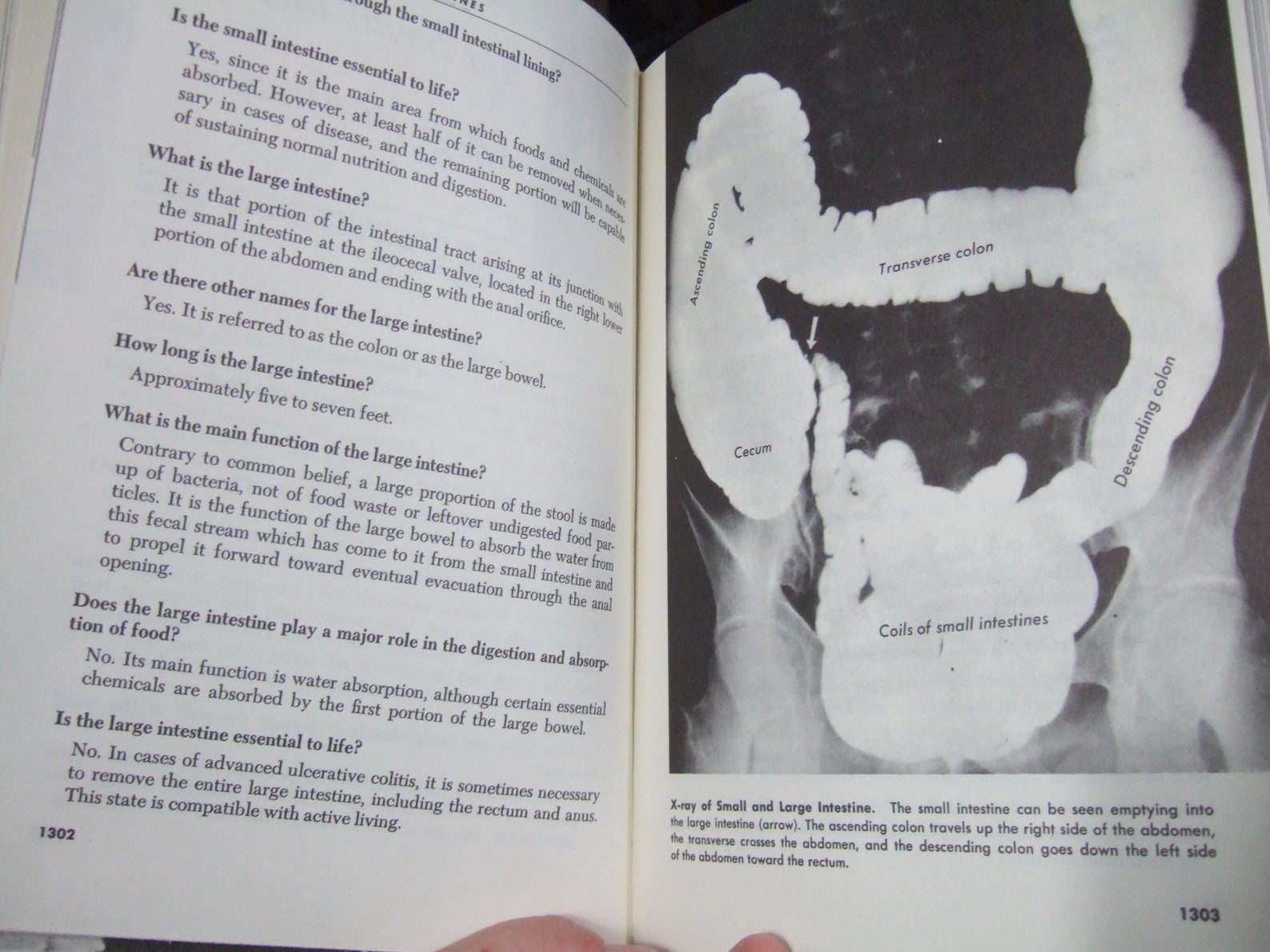 Medical Encyclopedia Set for Home Use Illustrated Complete - Etsy