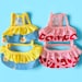SMALL Dog & Puppy Beach Bikinis | Dog Hat | Bucket Hat | Bikini for Cat ...