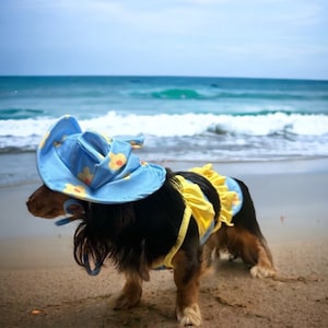 SMALL Dog & Puppy Beach Bikinis | Dog Hat | Bucket Hat | Bikini for Cat ...