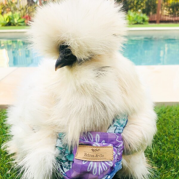 Pet Diaper - Etsy