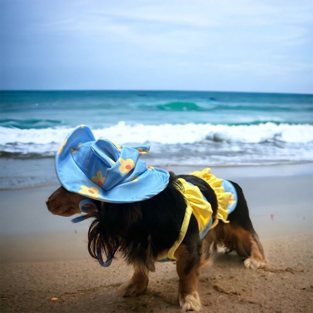 SMALL Dog & Puppy Beach Bikinis | Dog Hat | Bucket Hat | Bikini for Cat ...