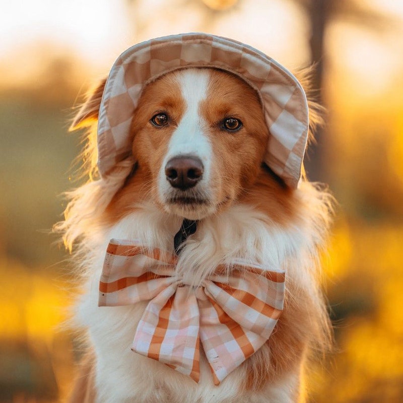 Hats for Dogs - Etsy