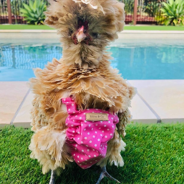 Chicken Diaper - Etsy