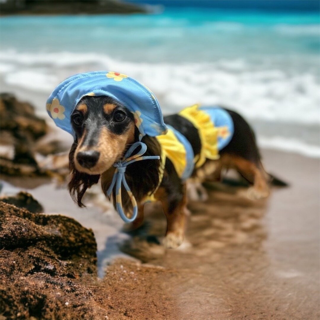 SMALL Dog & Puppy Beach Bikinis Dog Hat Bucket Hat Bikini for Cat and ...