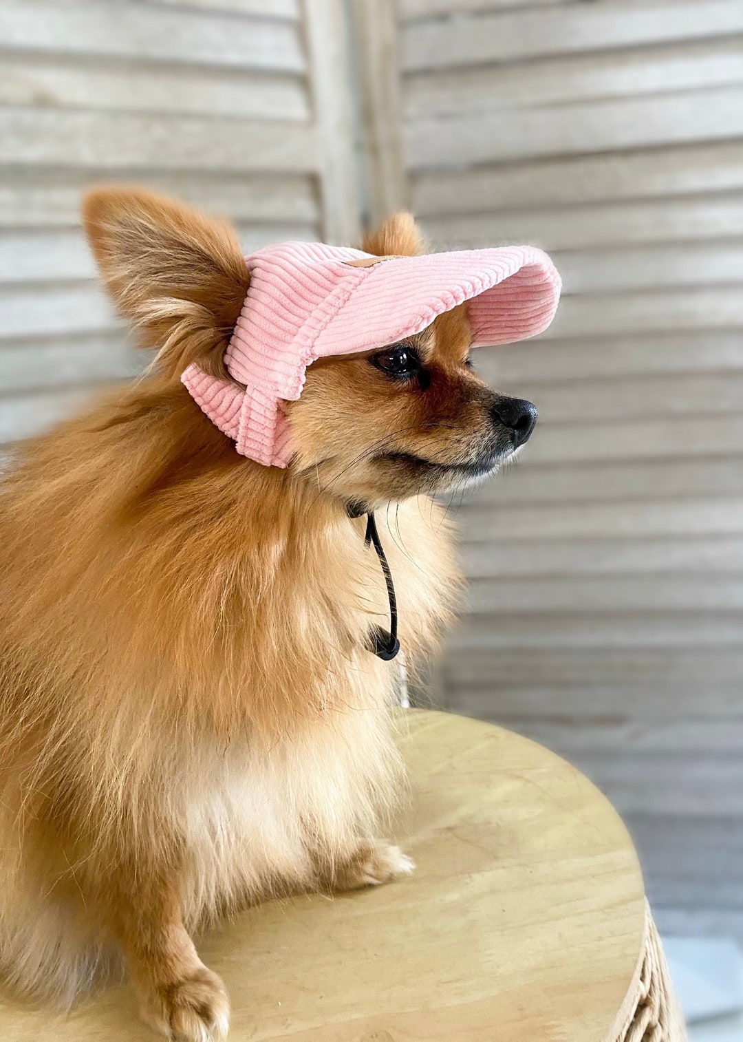 Corduroy Dog Hat | Puppy Hat | Dog Visor | Sun Protection Cap | Travel ...