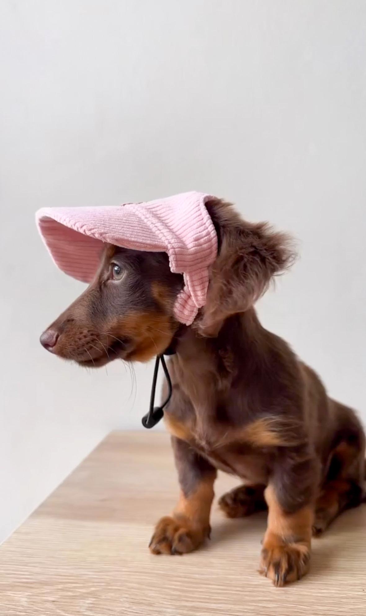Corduroy Dog Hat | Bucket Hat | Puppy Hat | Dog Visor | Sun Protection ...