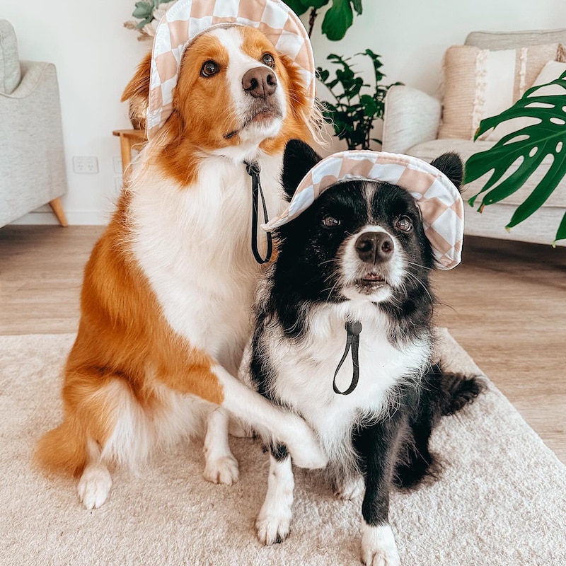 Hats for Dogs - Etsy