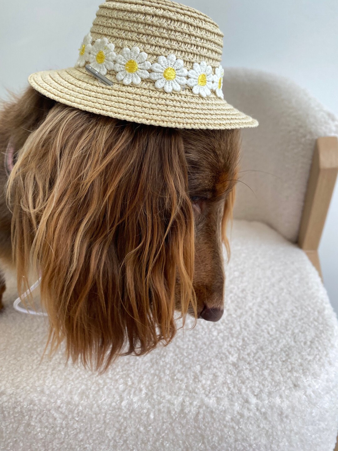 Dog Straw Hat | Flower Pet Bucket Hat | Puppy Hat | Dog Visor | Sun ...