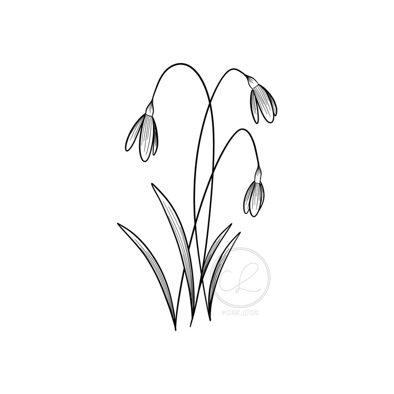 Snowdrop Flower Minimalist Wall Art, Botanical Birth Month Print ...