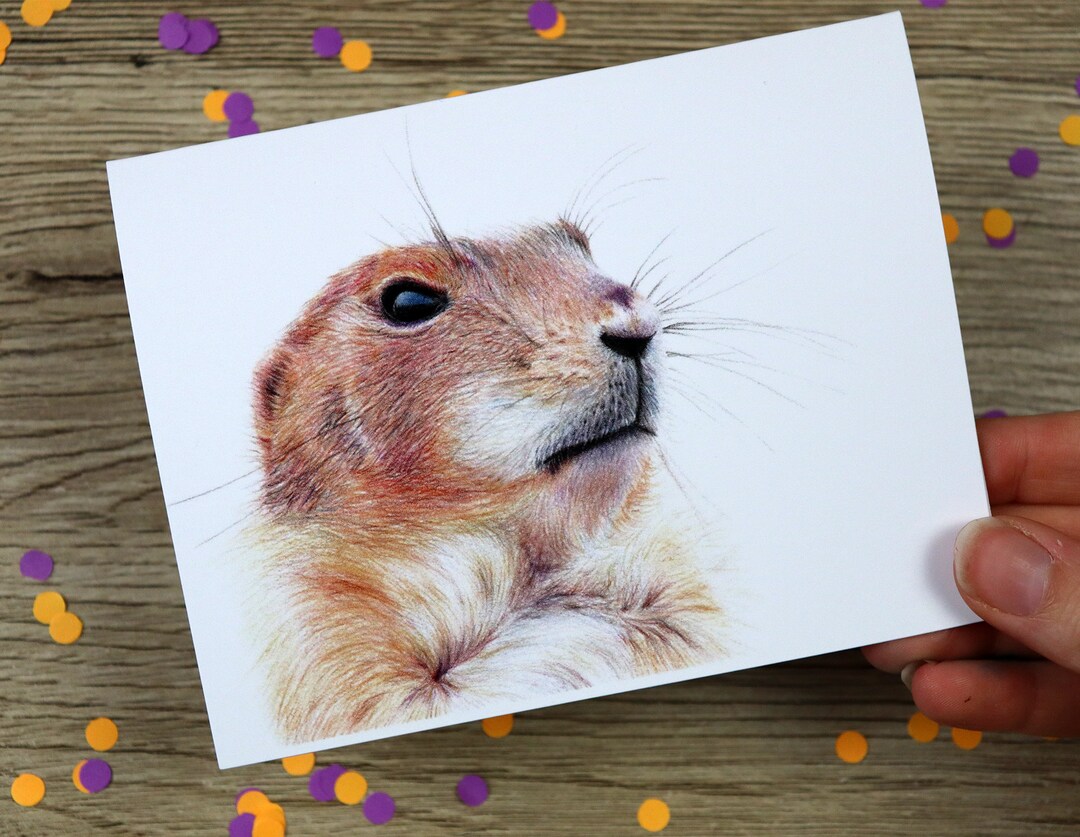Prairie Dog Card / Hand Drawn Illustration / Greeting Card / Blank ...