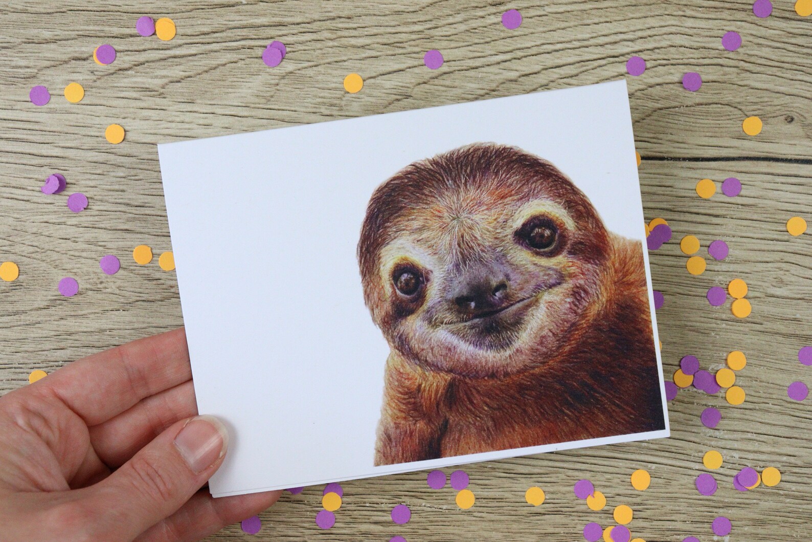 Sloth Greeting Card / Blank Inside / Birthday Card / Sloth / Greeting ...