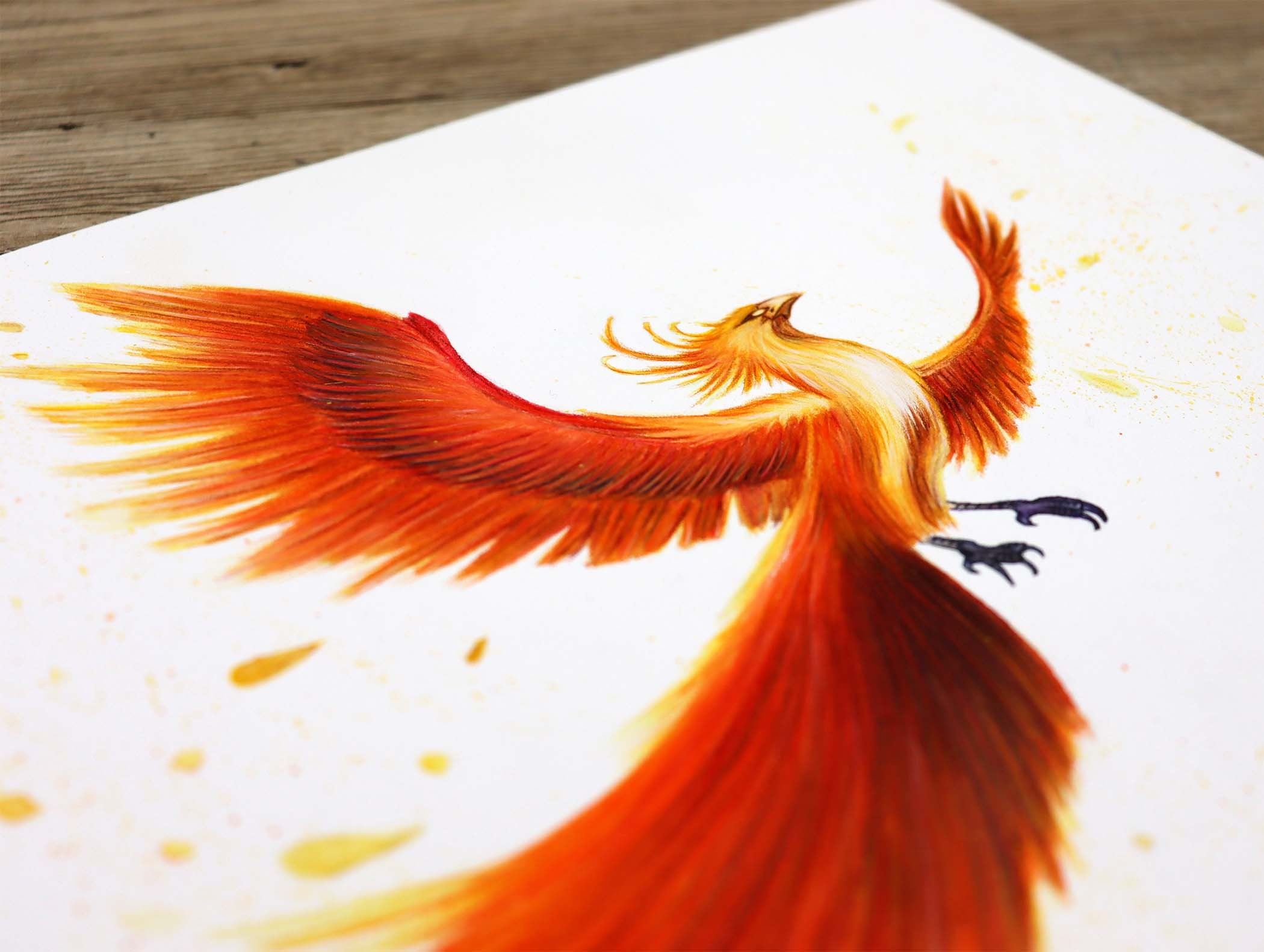 Phoenix Watercolour Pencil Original Illustration / Fawks the Phoenix - Etsy