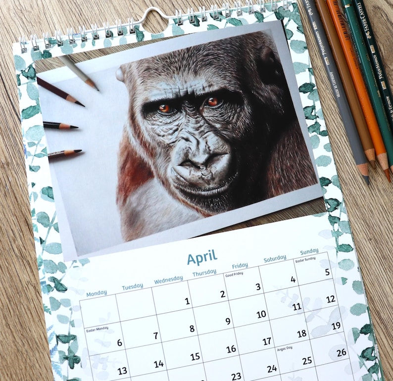 2026 Wildlife Art Calendar: Lisa Galley Colour Pencil Drawings - Etsy ...