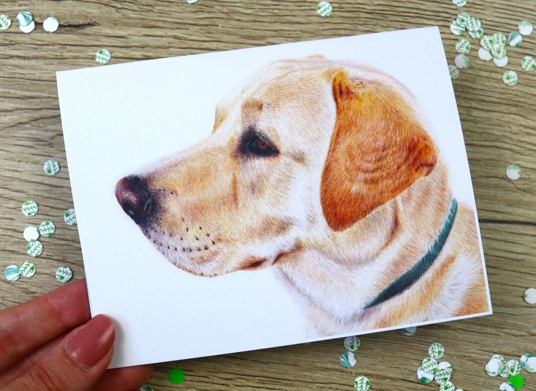 Labrador Greeting Card / Guide Dog Card / Birthday Card / Dog Card - Etsy