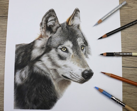 How To Draw A Realistic Wolf Eye How To Draw An Angry Wolf, Step By