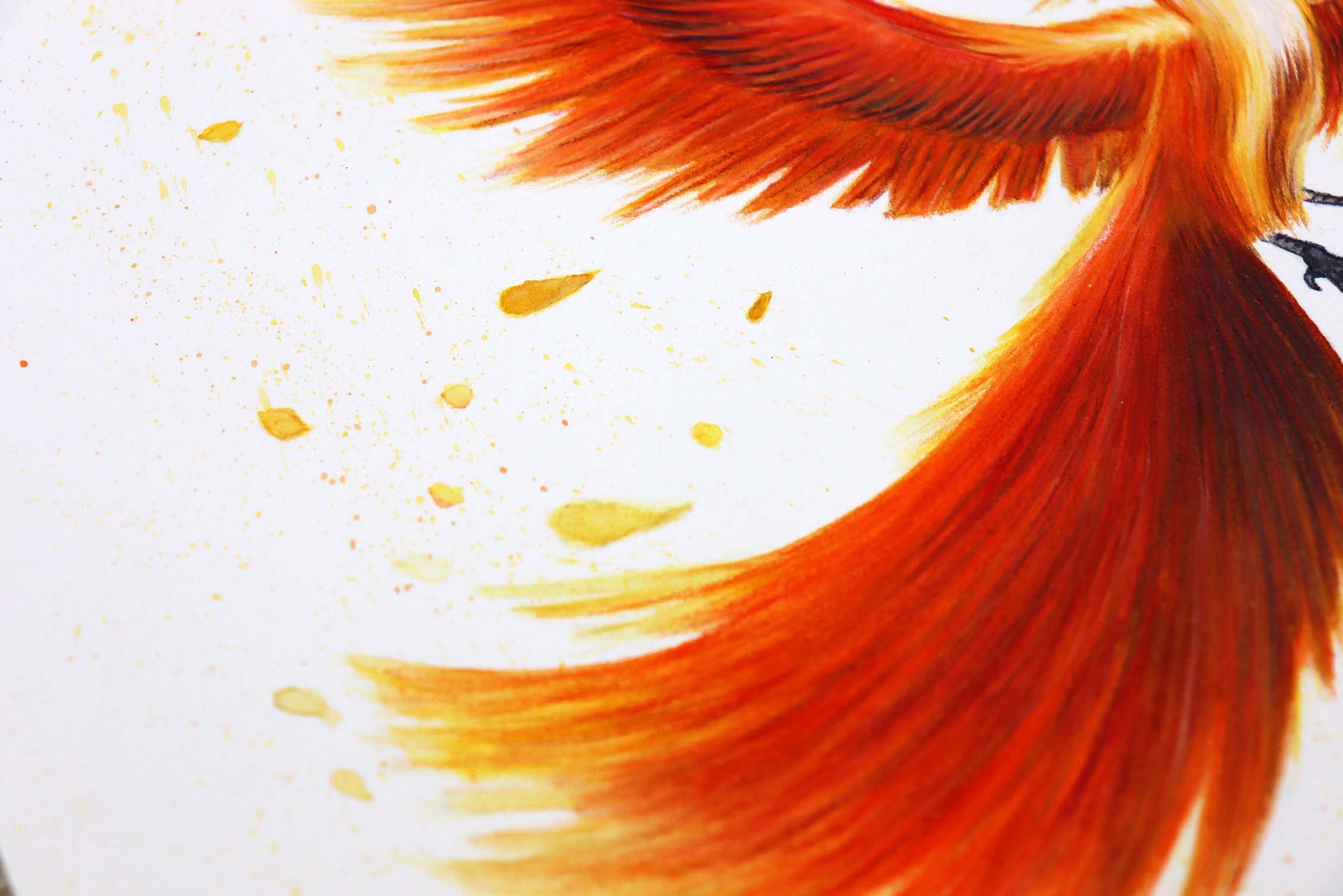 Phoenix Watercolour Pencil Original Illustration / Fawks the Phoenix - Etsy