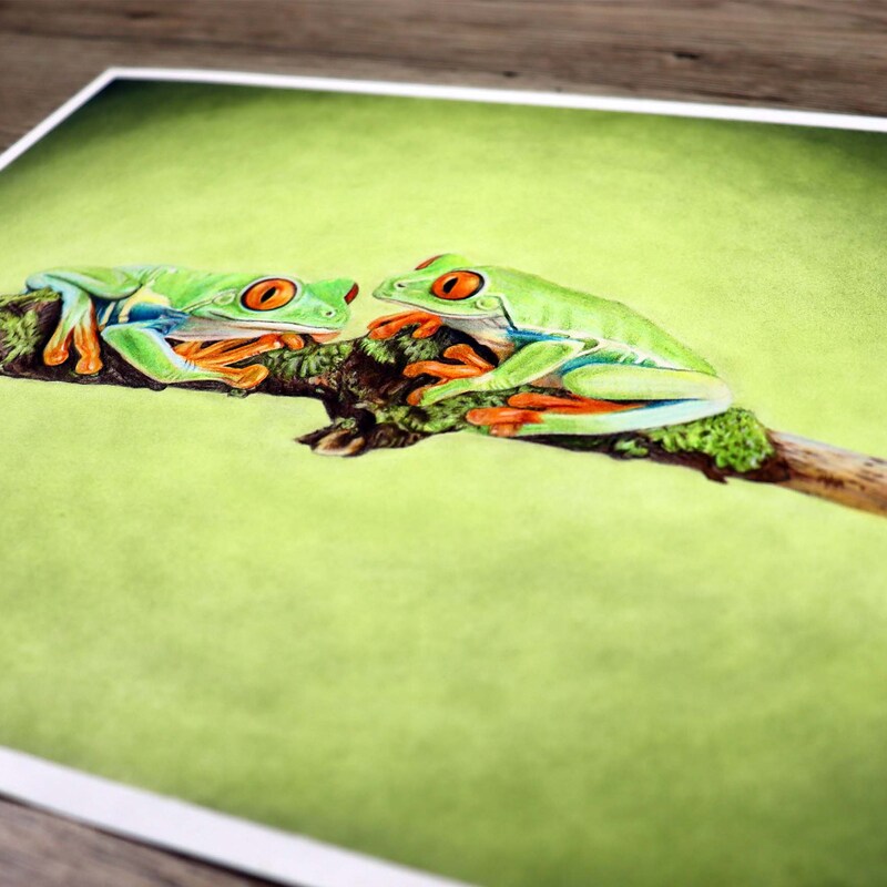 Green Tree Frog - Etsy