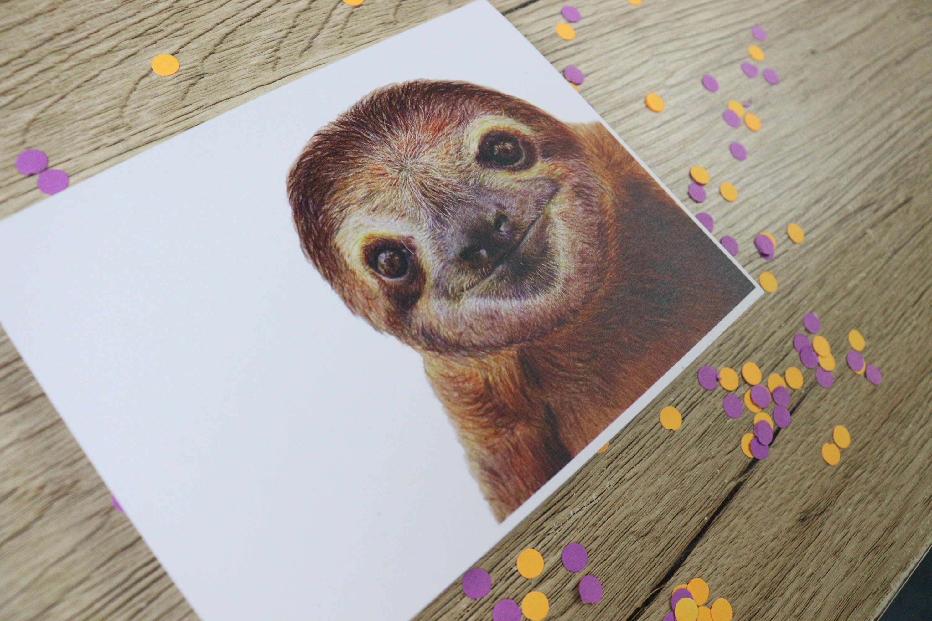 Sloth Greeting Card / Blank Inside / Birthday Card / Sloth / Greeting ...